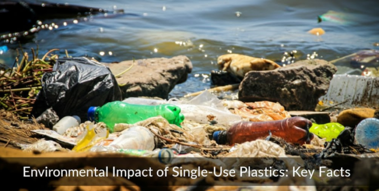 Environmental Impact of Single-Use Plastics: Key Facts for 2026- UKHI