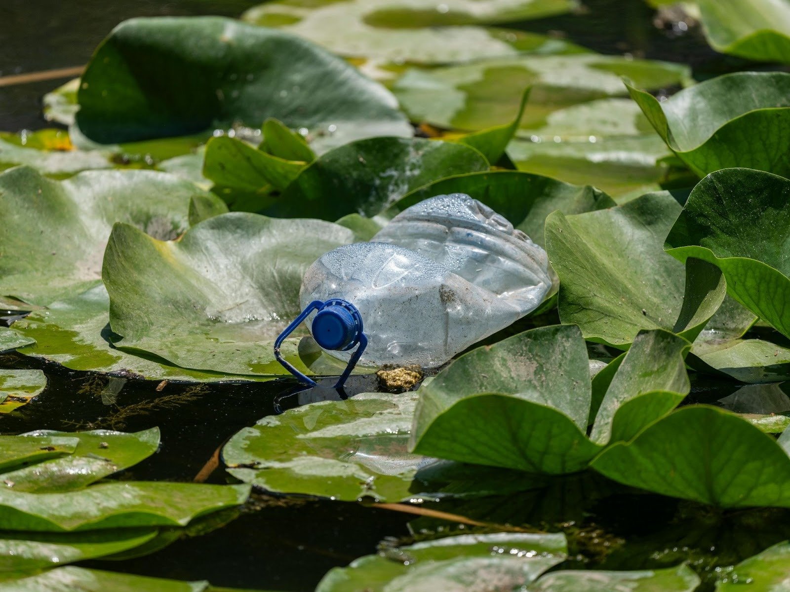 PLA, PHA, and Bio-PBAT: Choosing the Right Bioplastic in India - UKHI